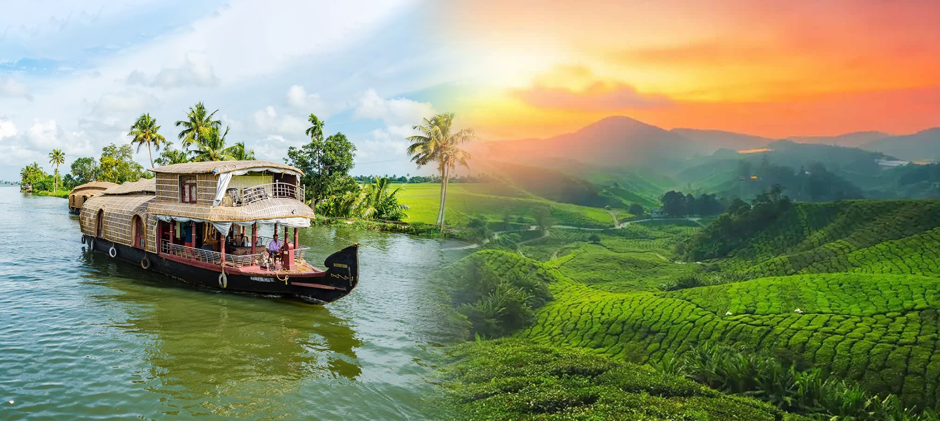 GoAce Tours